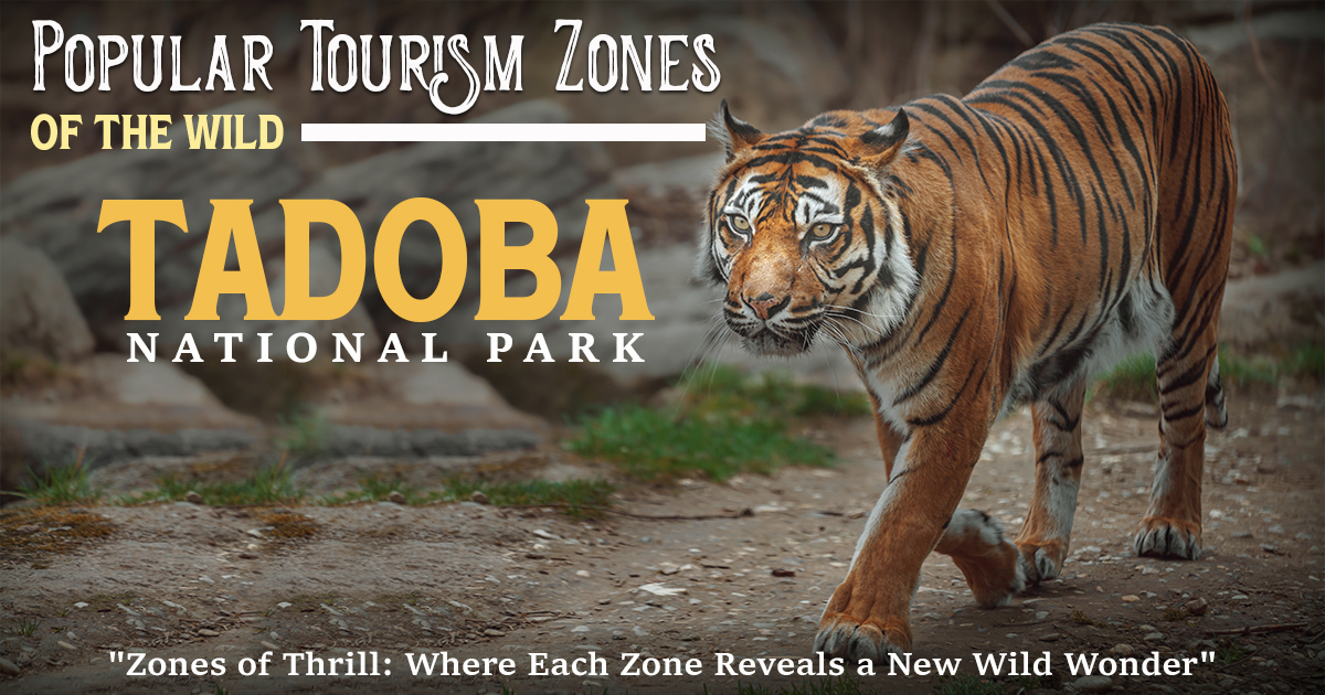 Popular Tourism Zones Of The Wild Tadoba