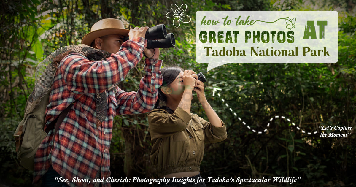 How To Take Great Photos At Tadoba National Park | Tadoba Blog