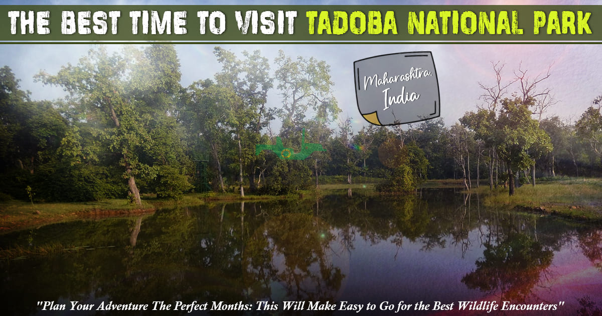 The Best Time To Visit Tadoba National Park