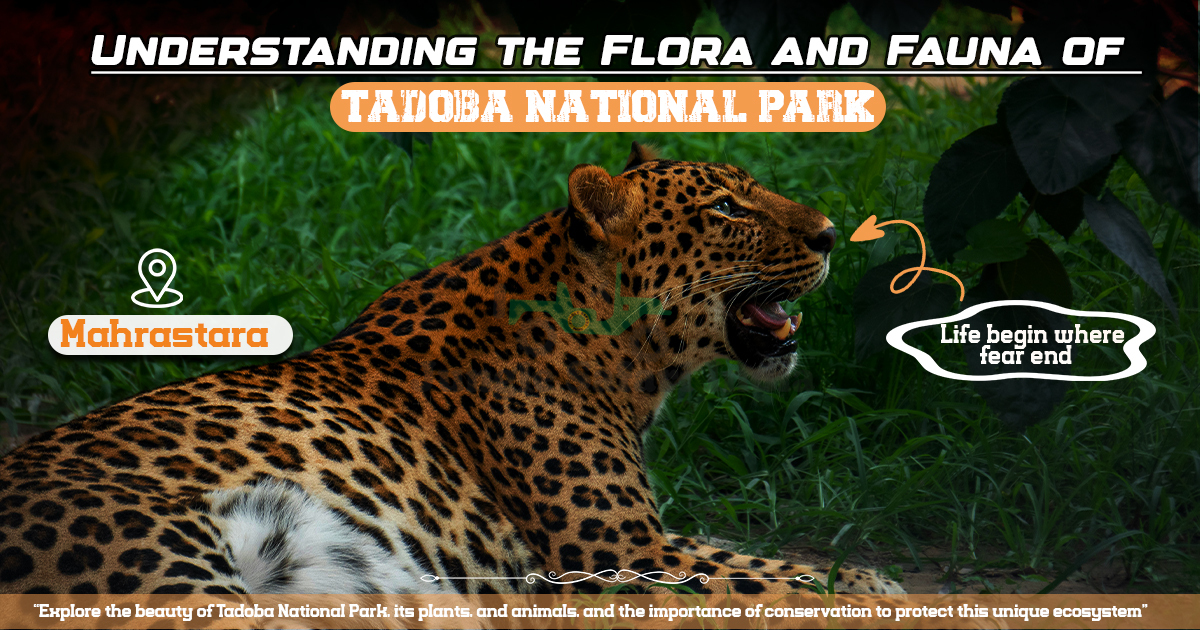 Understanding The Flora And Fauna Of Tadoba