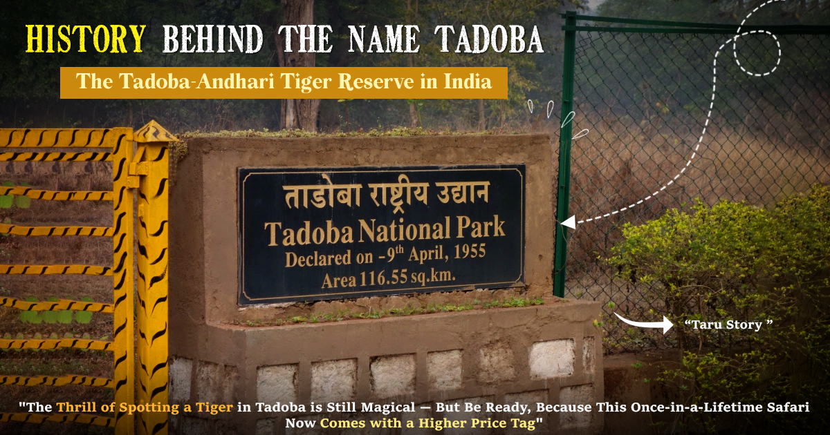 History Behind The Name Tadoba