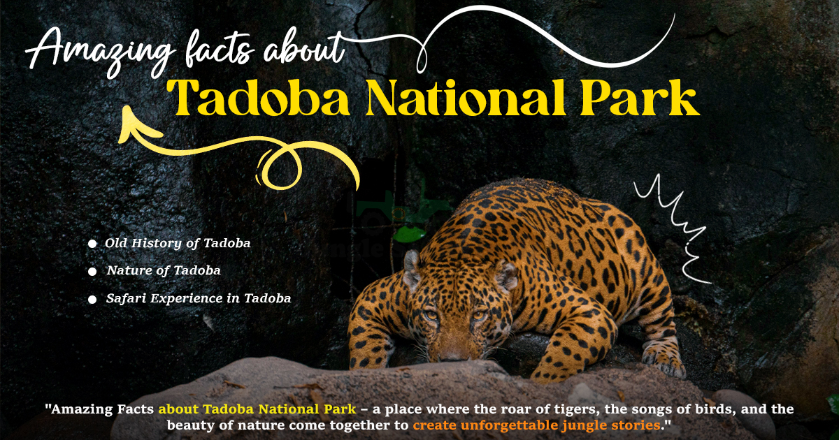 Amazing Facts About Tadoba National Park