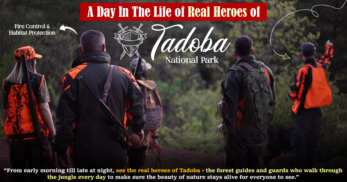 A Day in the Life of Real Heroes of Tadoba