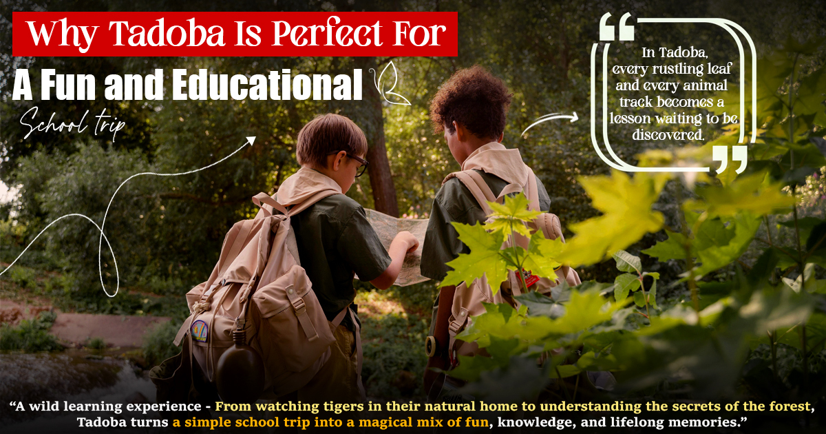 Why Tadoba Is Perfect for a Fun and Educational School Trip